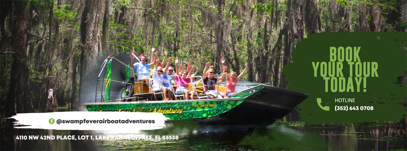 Thrilling Swamp Tour Near Tampa & Orlando | Swamp Fever