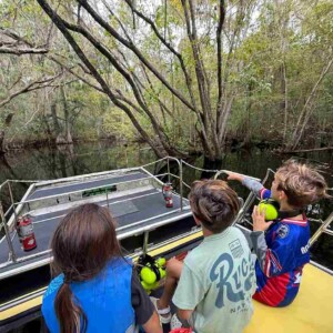 How Do Alligators Reproduce | Swamp Fever